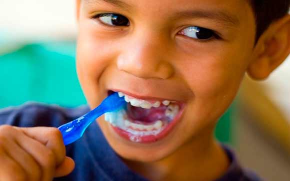 ¿Qué significan las marcas de colores en los tubos de la pasta de ...